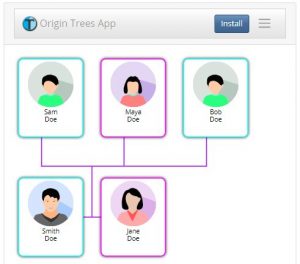 The beginner’s guide to Origin Trees - OriginTrees